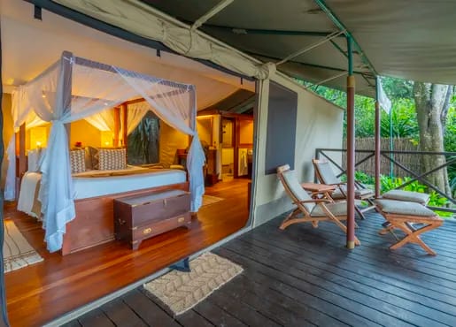 4 Days Luxury Fly-in Package to Mara Intrepids Camp - Shanjoy Tours and ...